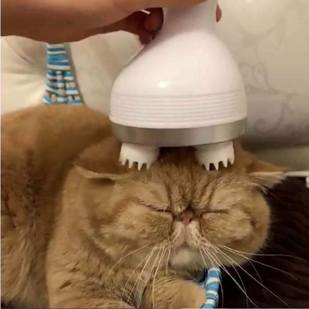 Elektrische Kattenkop Massager - Belleza
